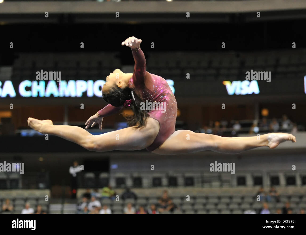 14 AUG 2009: 2009 VISA gymnastics championship, Day 2 of the Men's ...