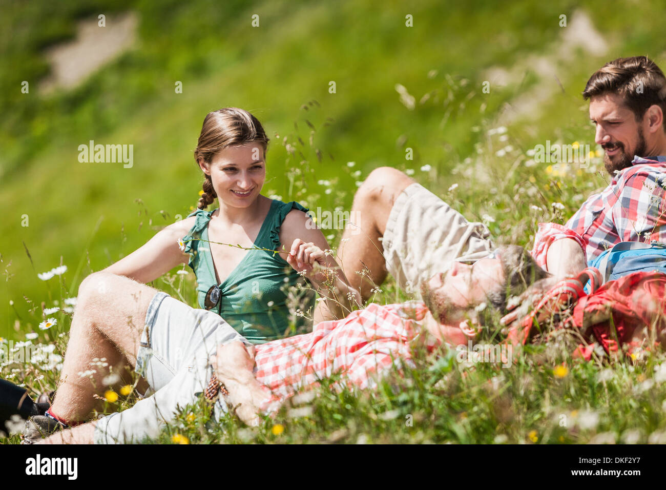 Resting field hi-res stock photography and images - Alamy