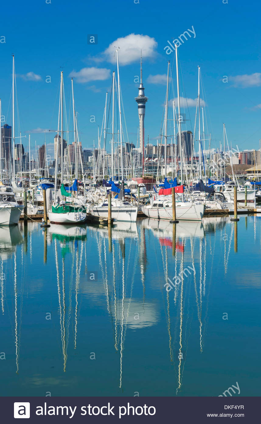 Auckland Sky Tower View High Resolution Stock Photography and Images ...