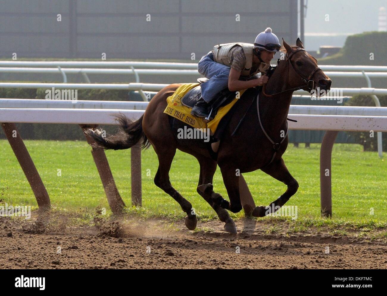 Kentucky derby winner mine bird hi-res stock photography and images - Alamy