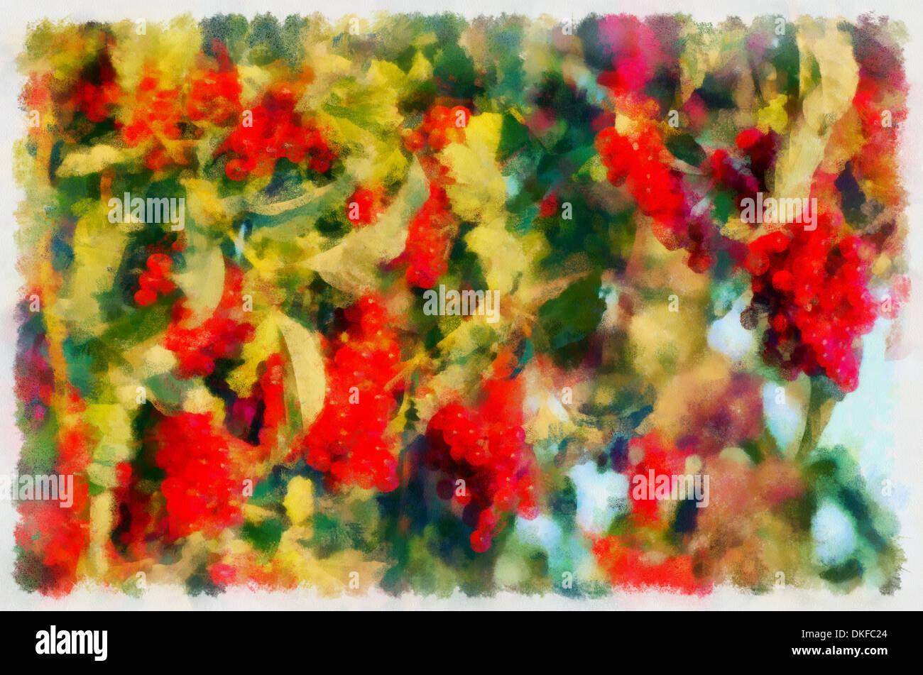 Picture red snowball tree hi-res stock photography and images - Alamy
