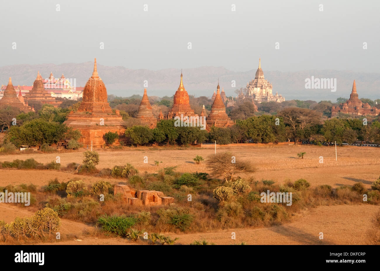 Red brick temples bin yellow sunrise light set in the dusty plains of ...
