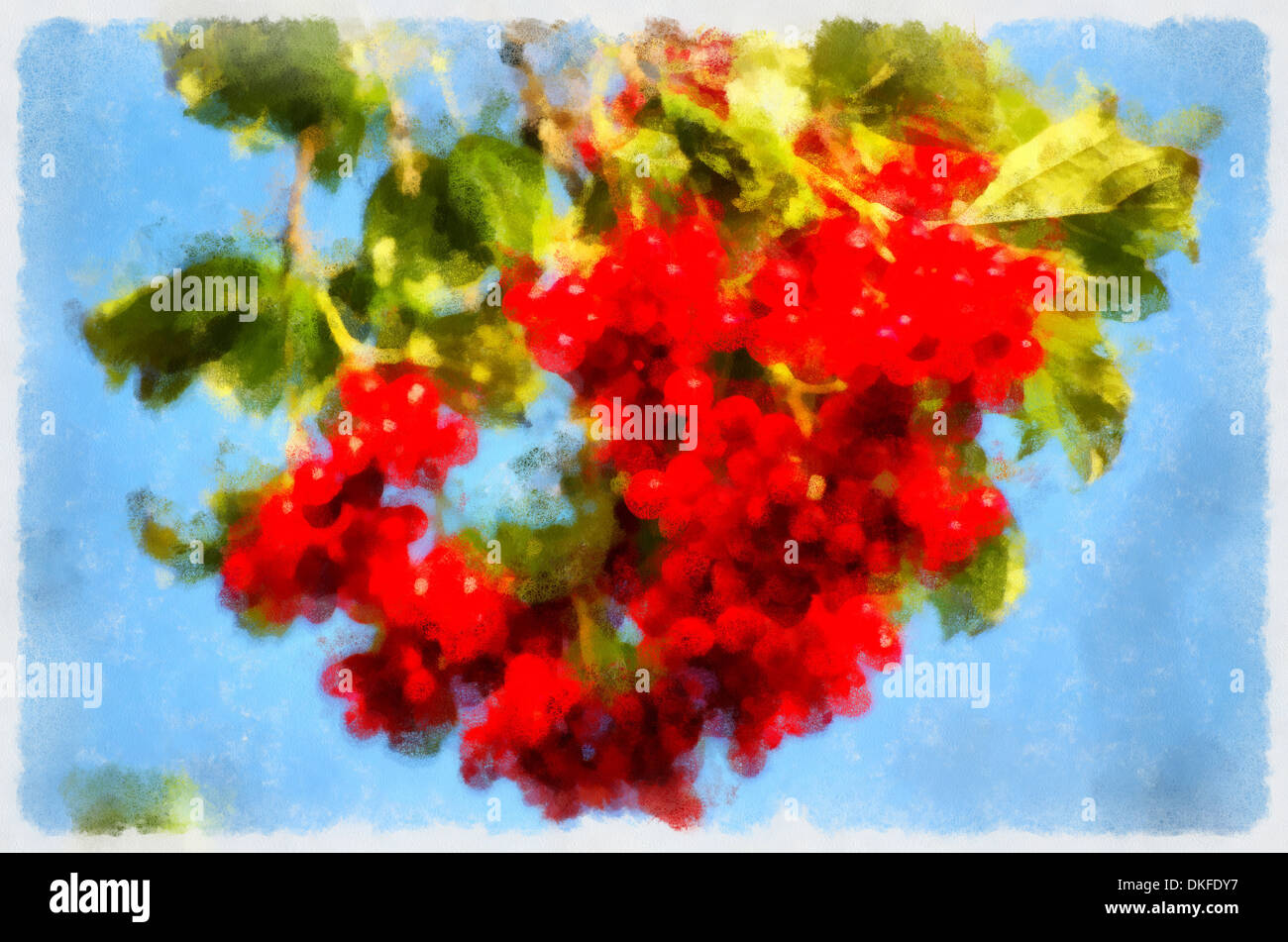 Graphics red snowball tree hi-res stock photography and images - Alamy