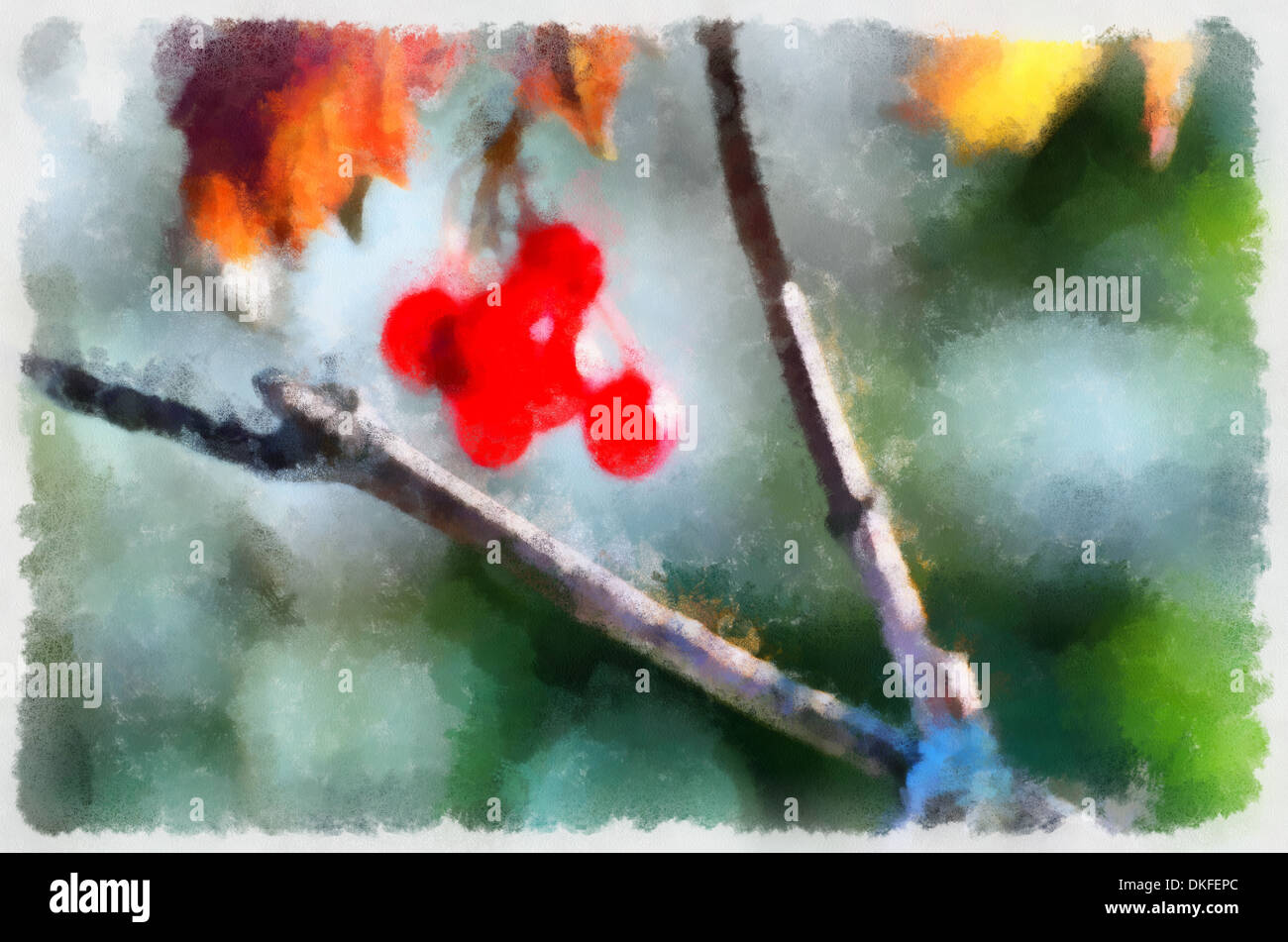 Graphics Red Snowball Tree High Resolution Stock Photography and Images ...
