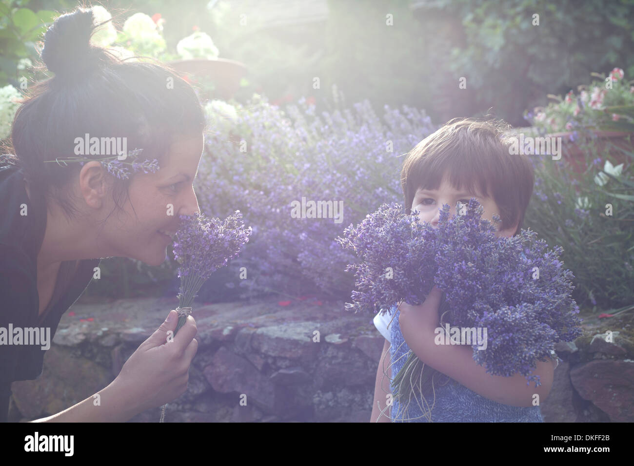Mother and toddler son smelling bunch of lavender Stock Photo - Alamy