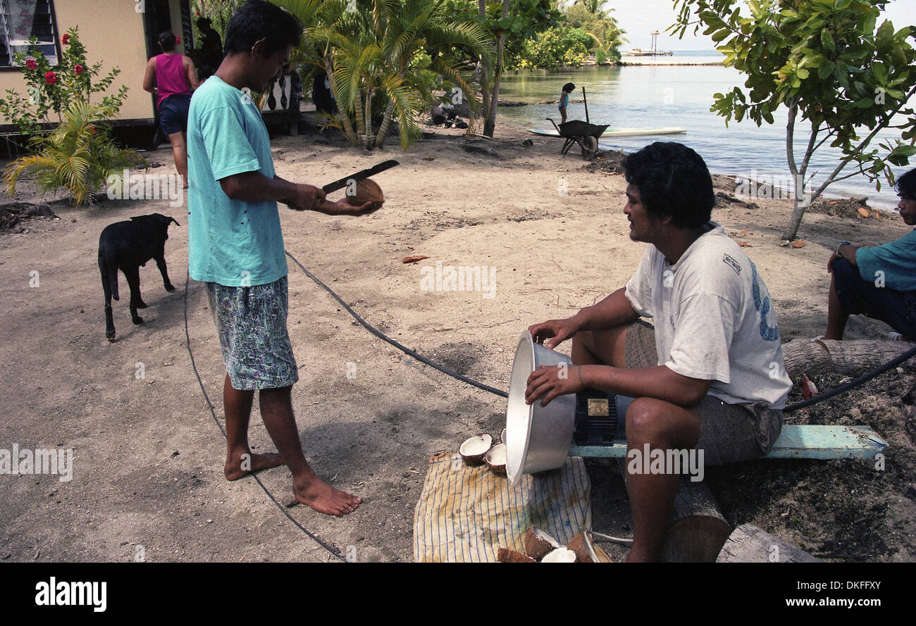 Two men producing coconut pulp in Tahiti. French Polynesia Stock Photo ...
