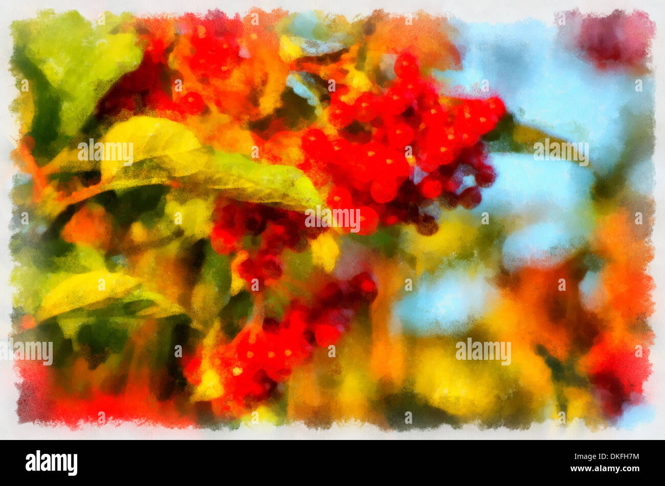 Graphic viburnum opulus hi-res stock photography and images - Alamy