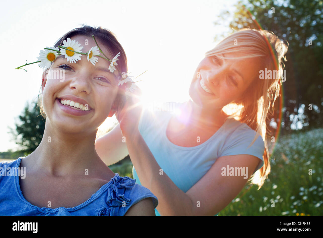 Daisy anatomy hi-res stock photography and images - Alamy