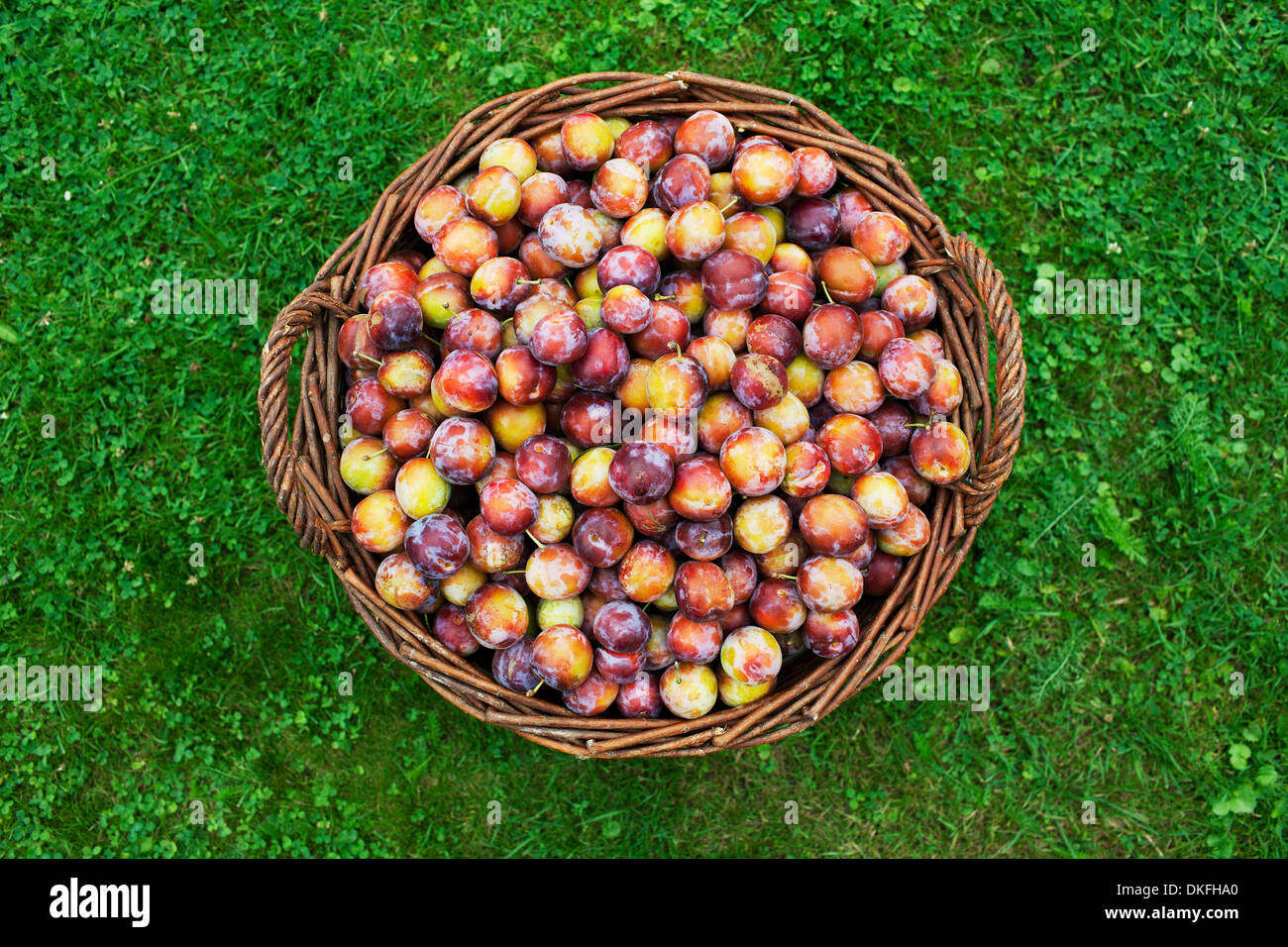 Full angle view hi-res stock photography and images - Alamy