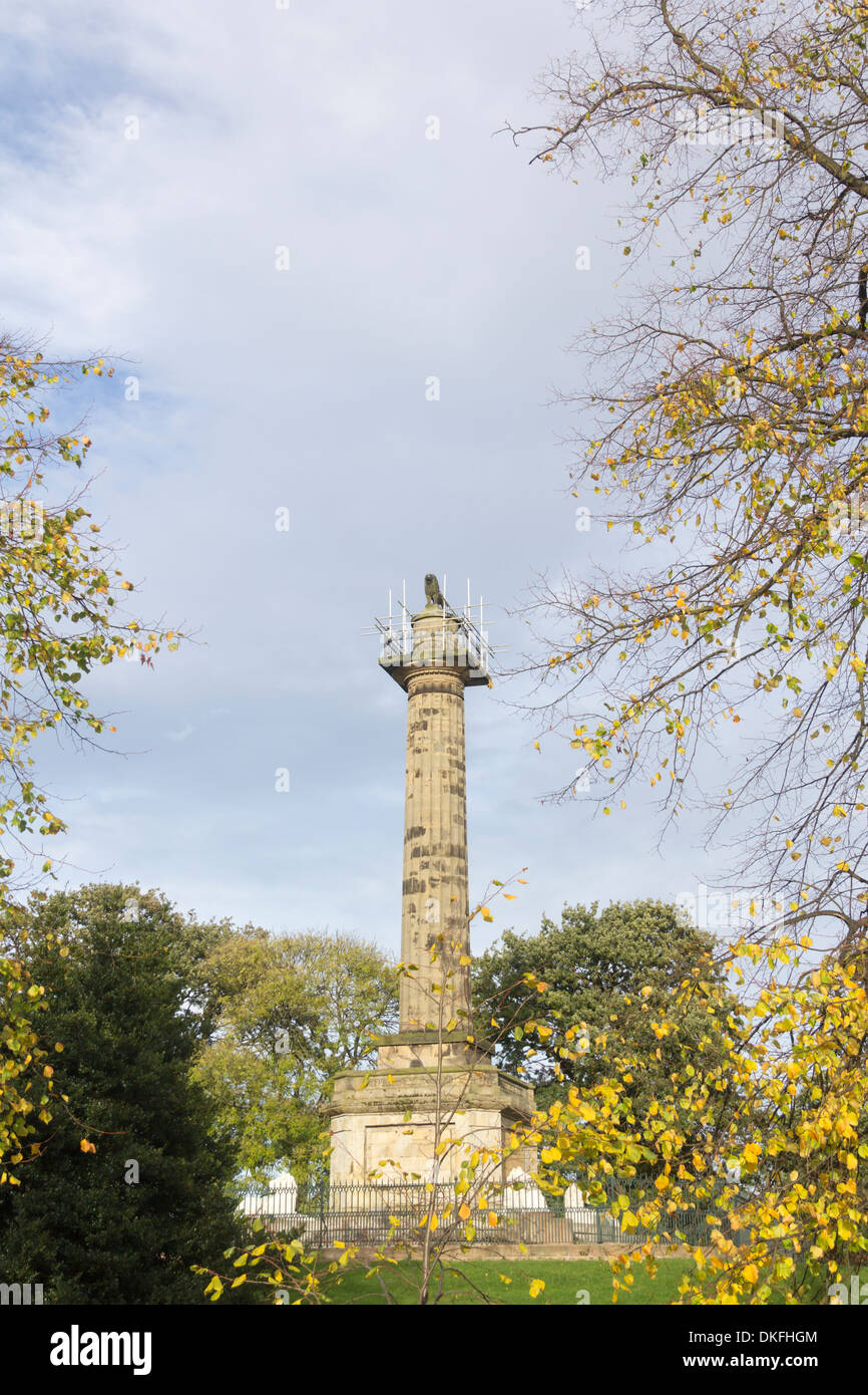 Percy lion hi-res stock photography and images - Alamy