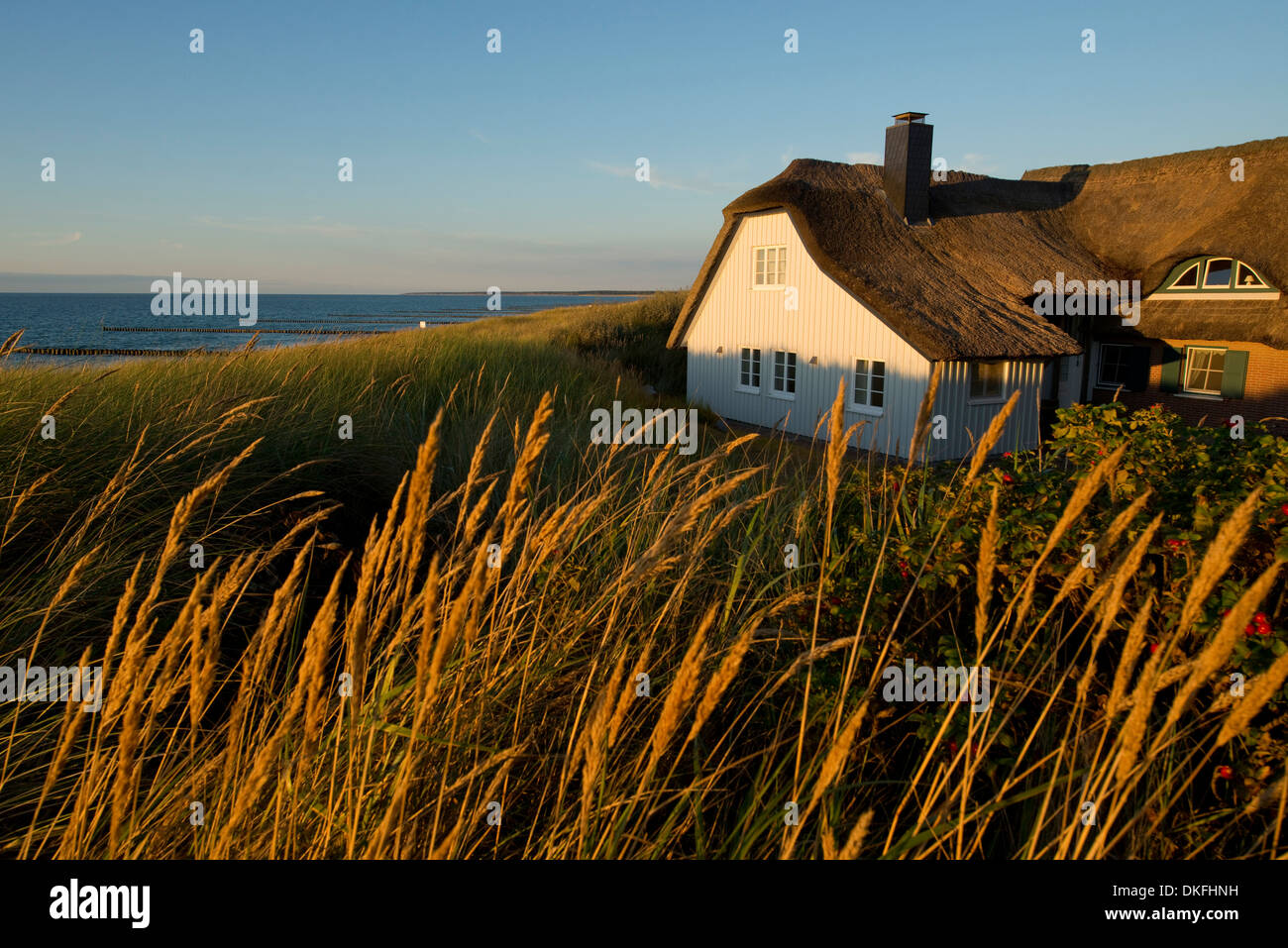 House on the Baltic Sea, Ahrenshoop resort, Mecklenburg-Vorpommern ...