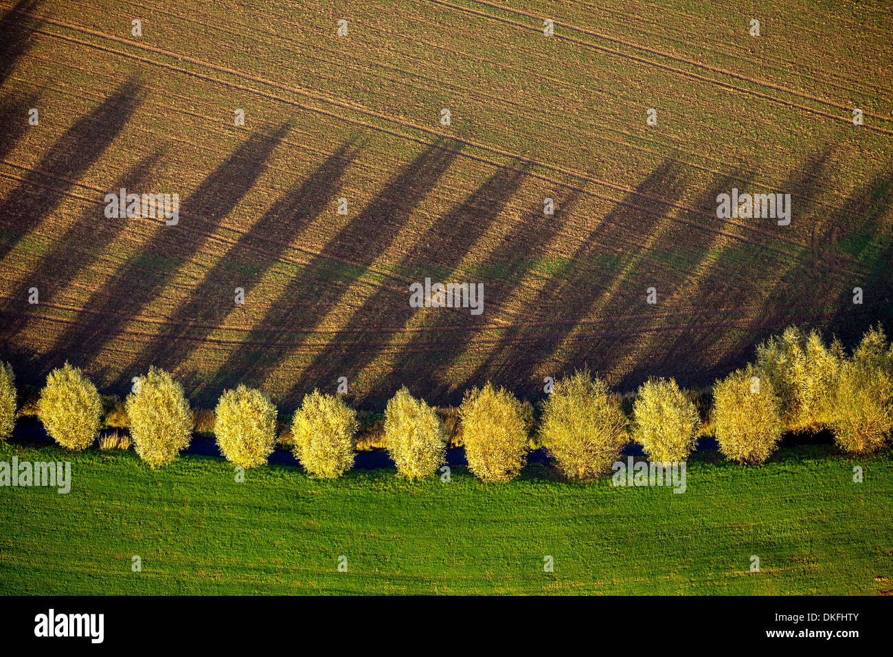 Aerial view row trees agriculture hi-res stock photography and images ...