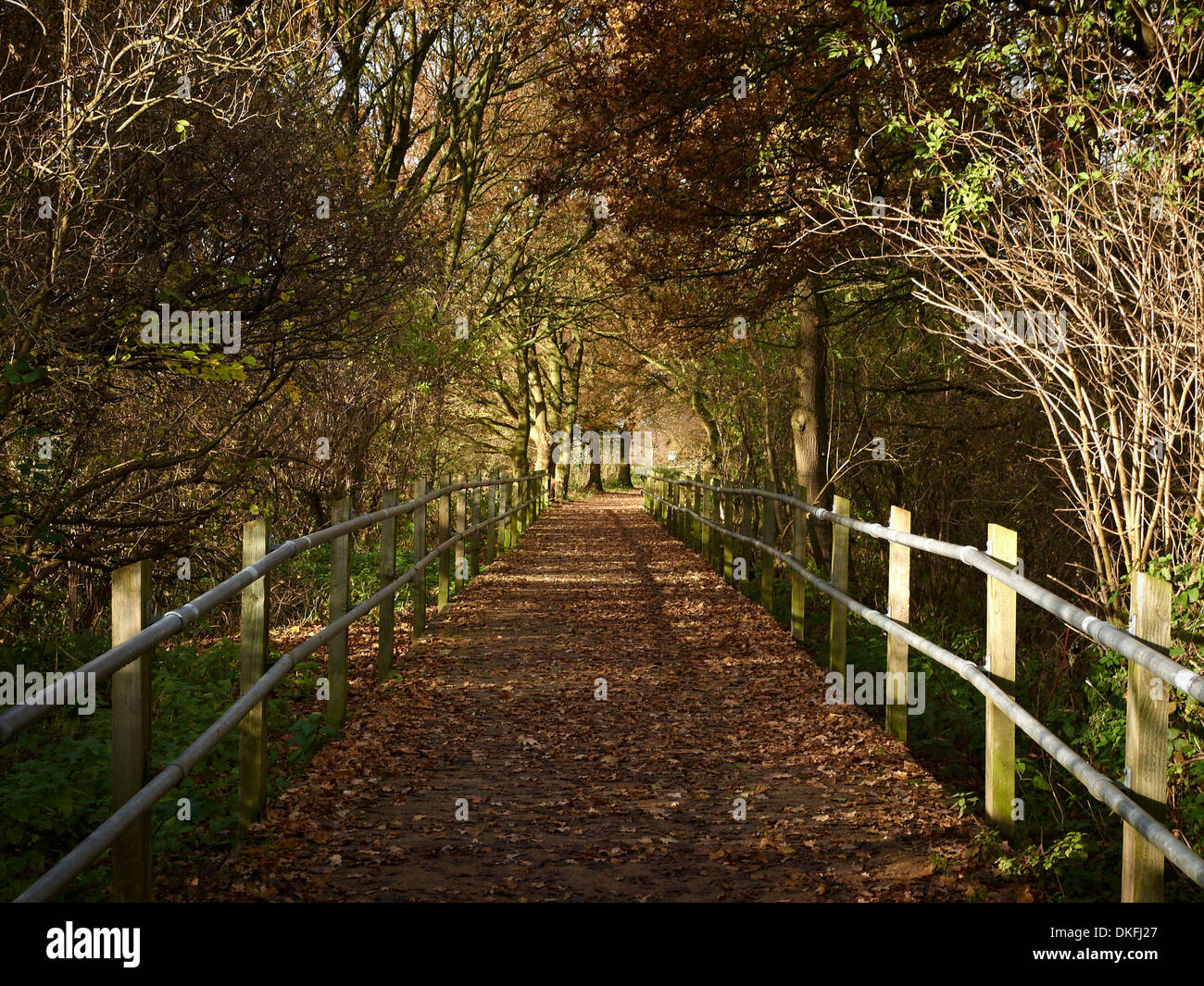 The salt walk hi-res stock photography and images - Alamy