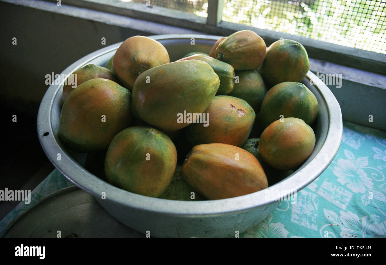 Mango standing hi-res stock photography and images - Alamy