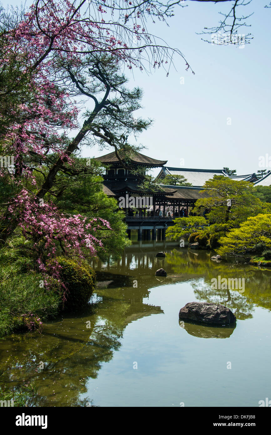 Heian Jingu shrine, cherry blossom, Okazaki Park, Kyoto, Japan Stock ...