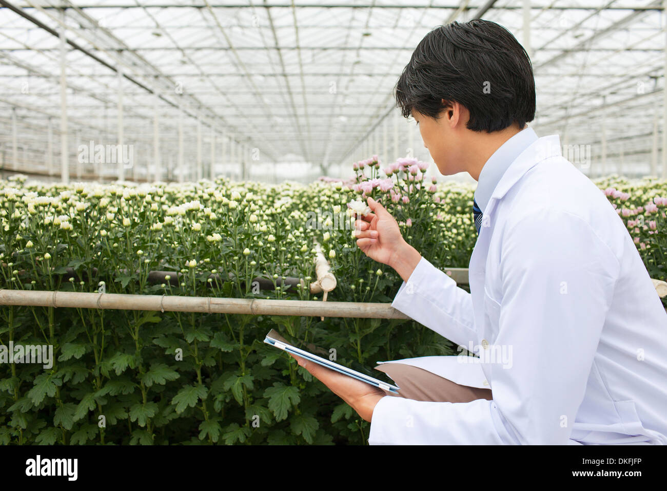 Asian Men At Work Tablet High Resolution Stock Photography and Images ...
