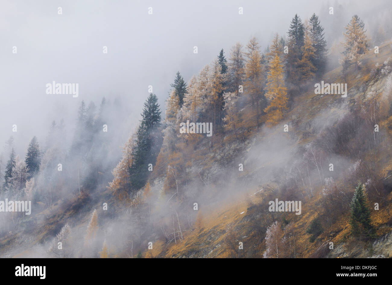 Vals in tirol hi-res stock photography and images - Alamy