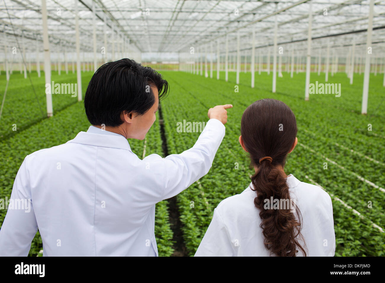 Team Work Nature High Resolution Stock Photography and Images - Alamy