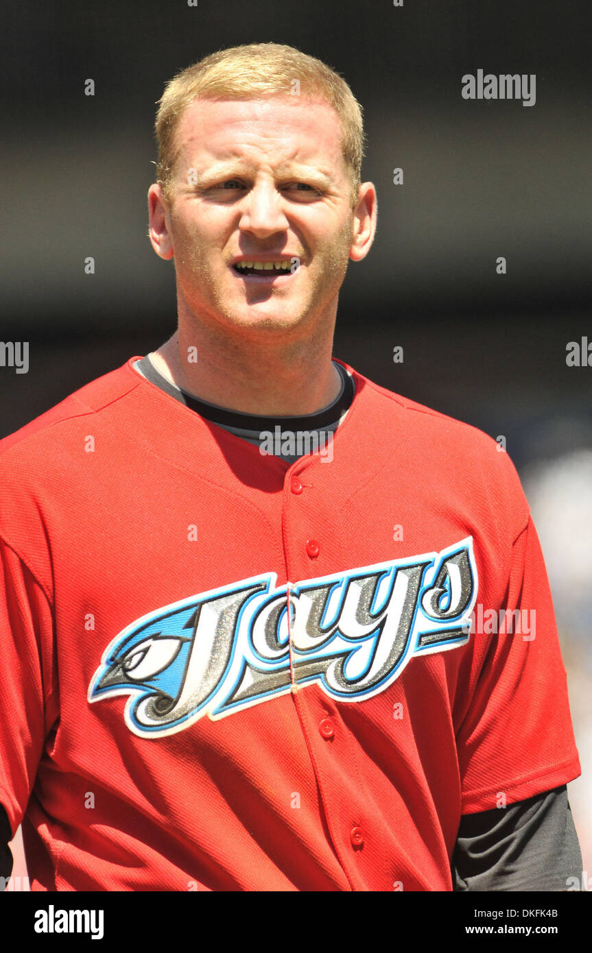 Devil rays blue jays hi-res stock photography and images - Alamy