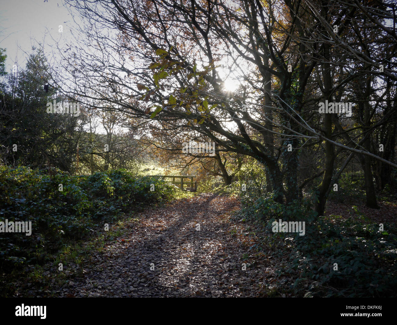 Countryside view with walk bridge over stream in Cheshire UK Stock ...
