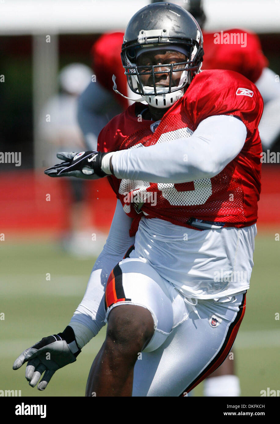 Gaines Adams (June 8, 1983 - January 17, 2010) was an American football ...