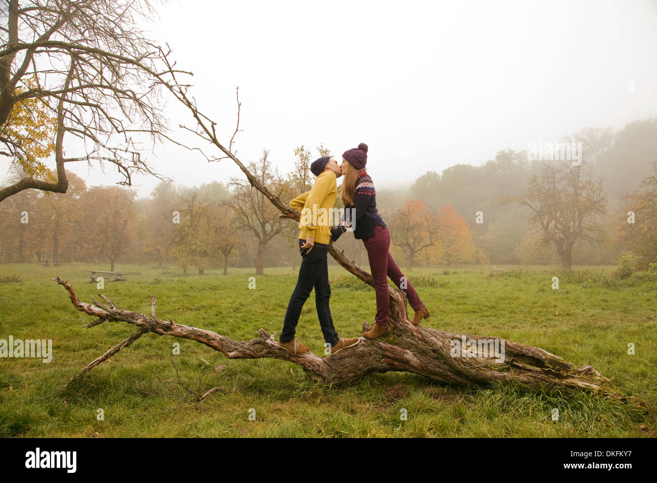 Young couple kissing on bare tree in misty park Stock Photo - Alamy