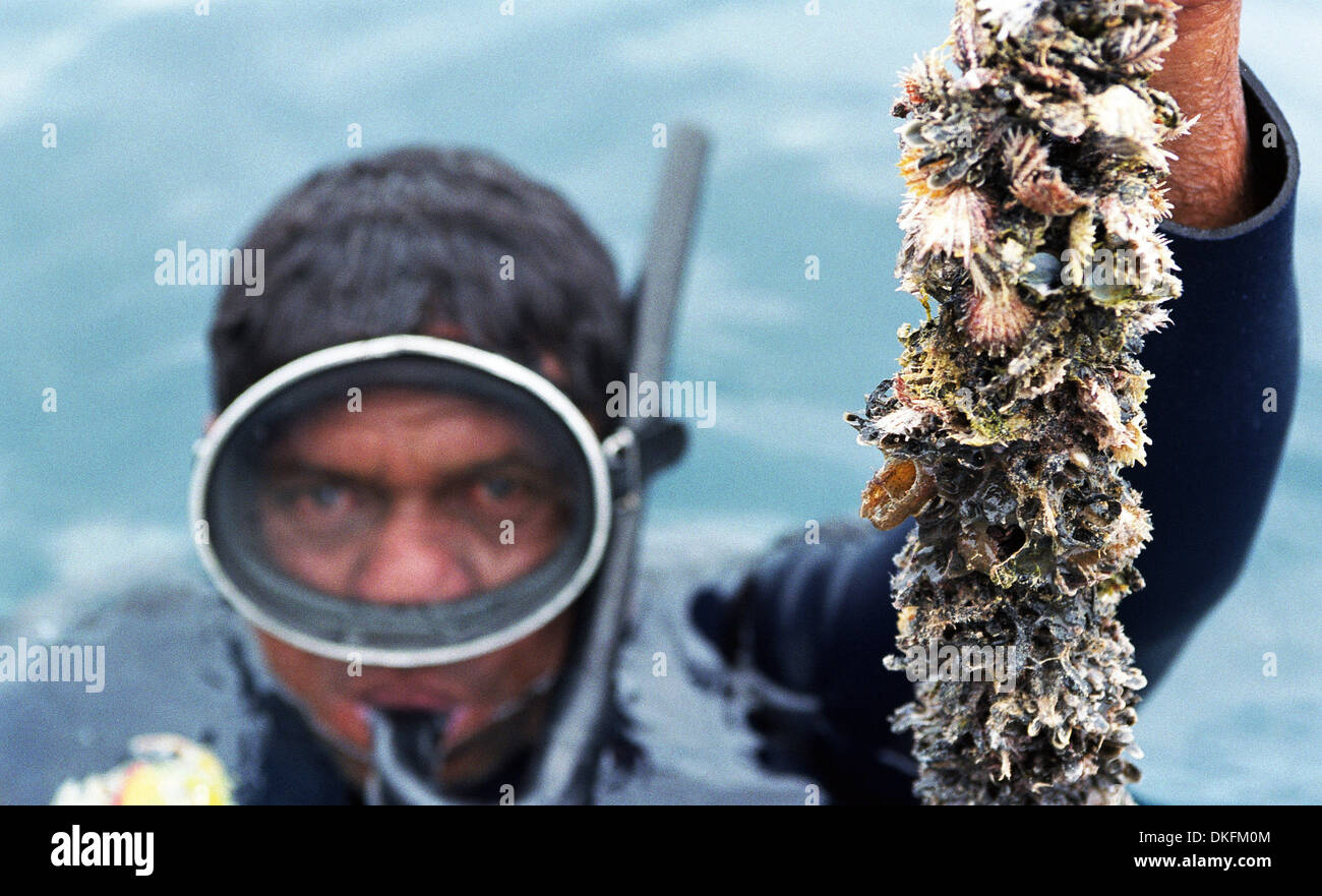 Pearl diver hi-res stock photography and images - Alamy