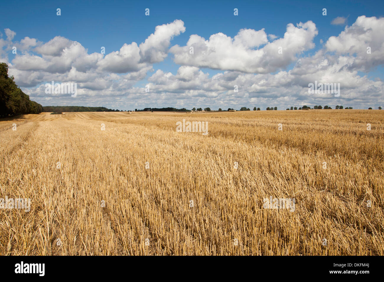 Dolgen hi-res stock photography and images - Alamy