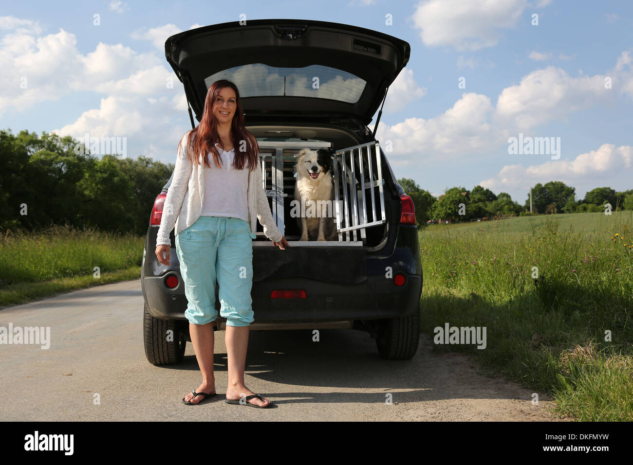 Dog inside a car hi-res stock photography and images - Alamy