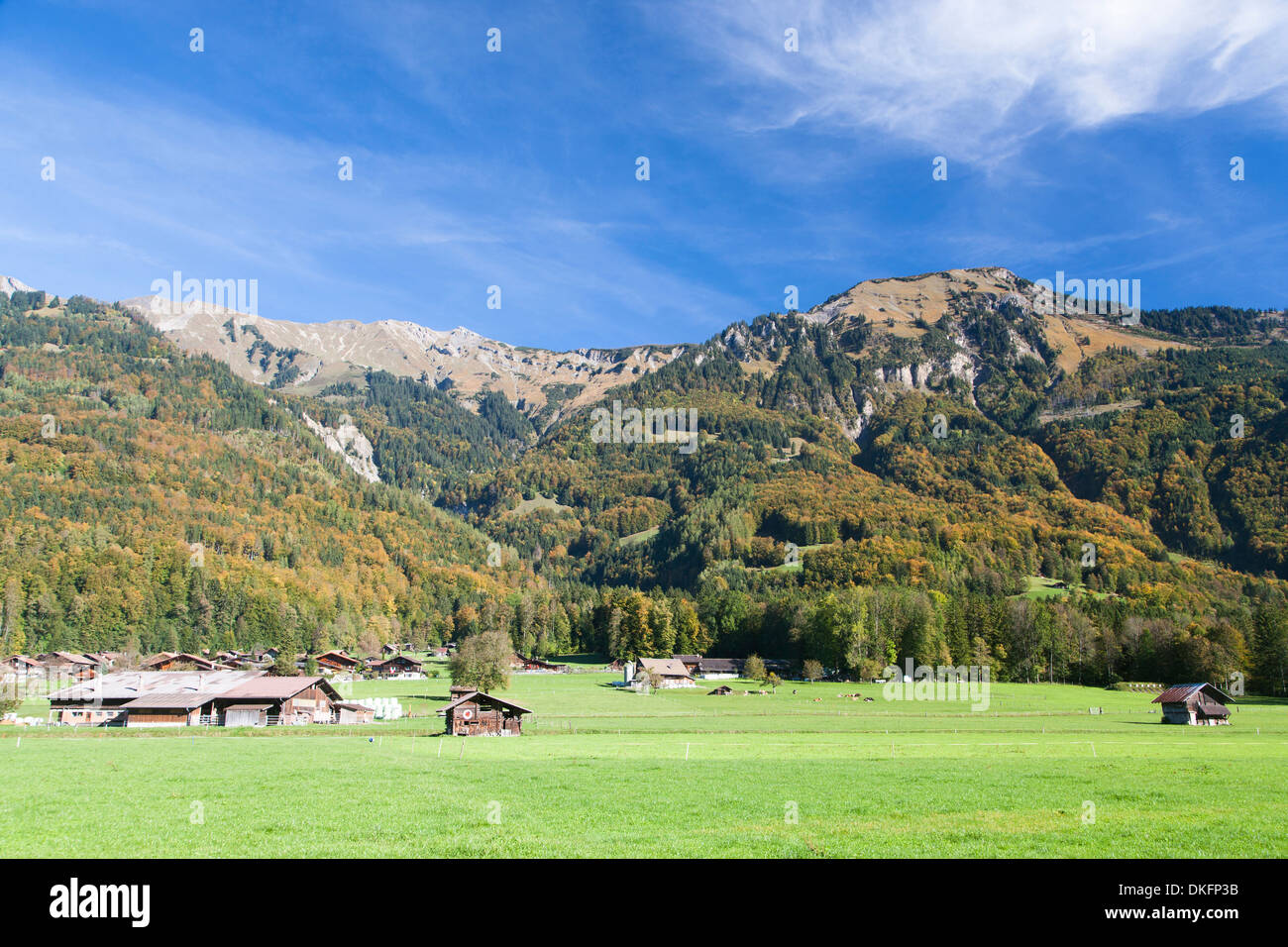 Bernese in switzerland hi-res stock photography and images - Alamy
