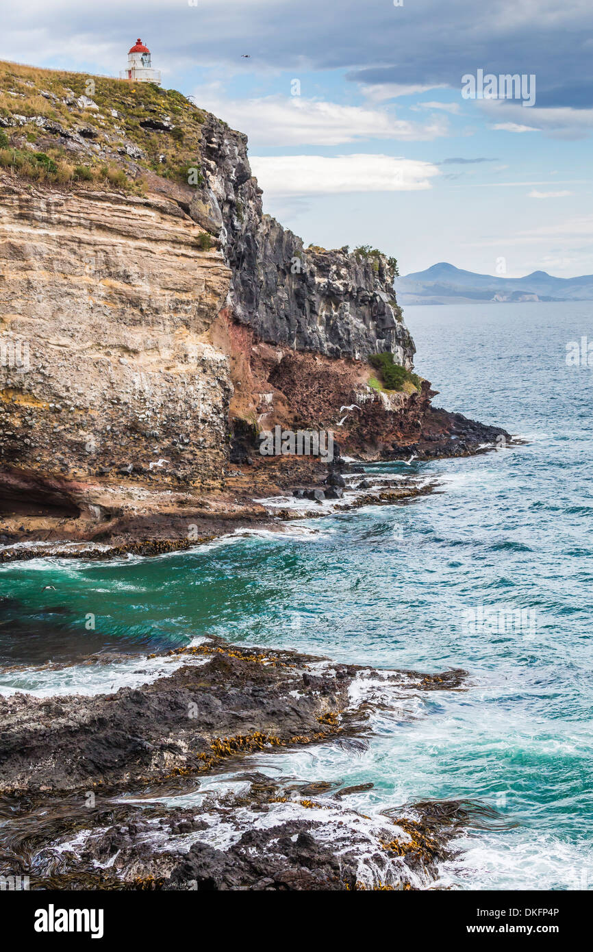 Otago lighthouses hi-res stock photography and images - Alamy