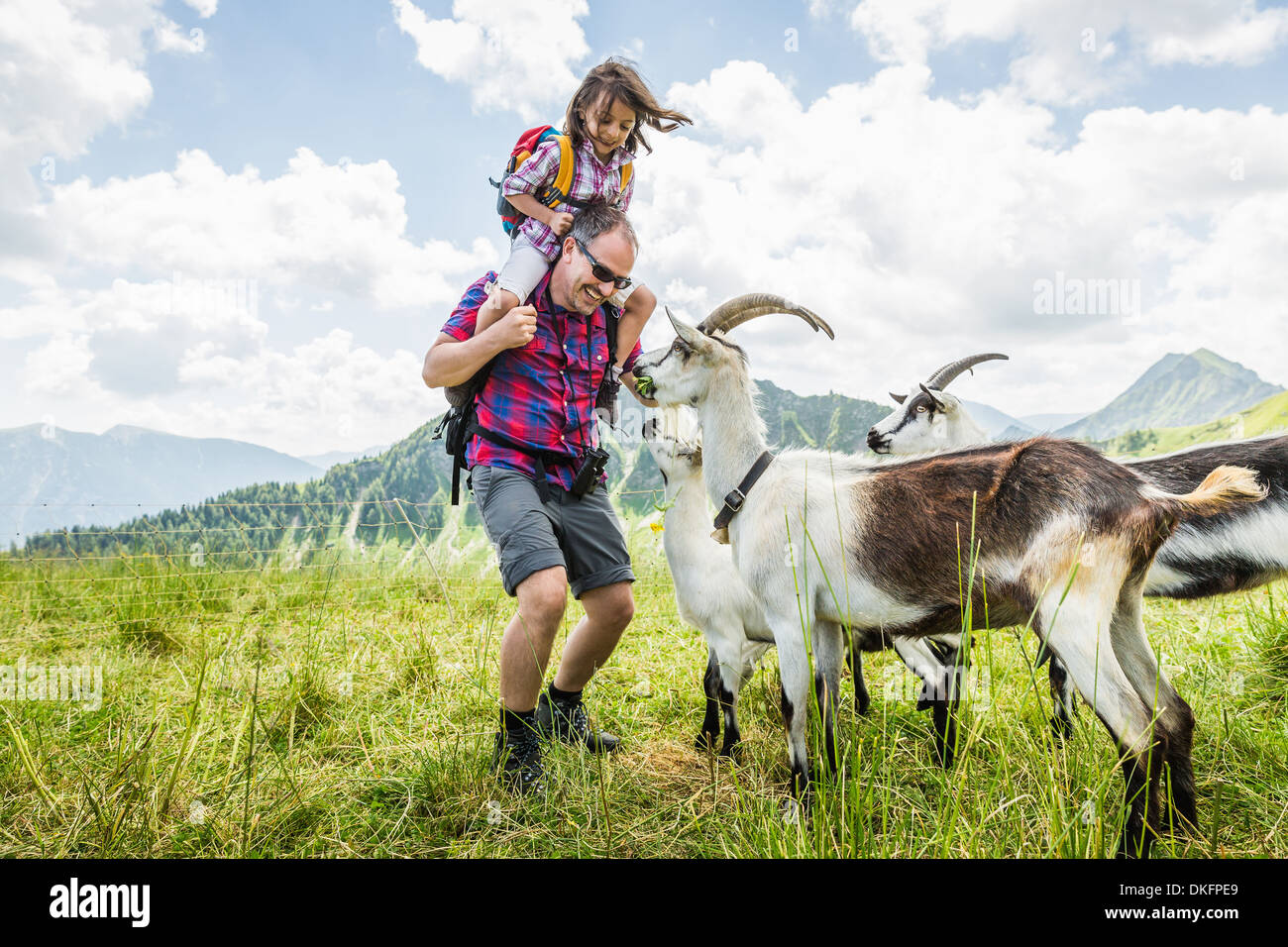 Carrying goats hi-res stock photography and images - Alamy