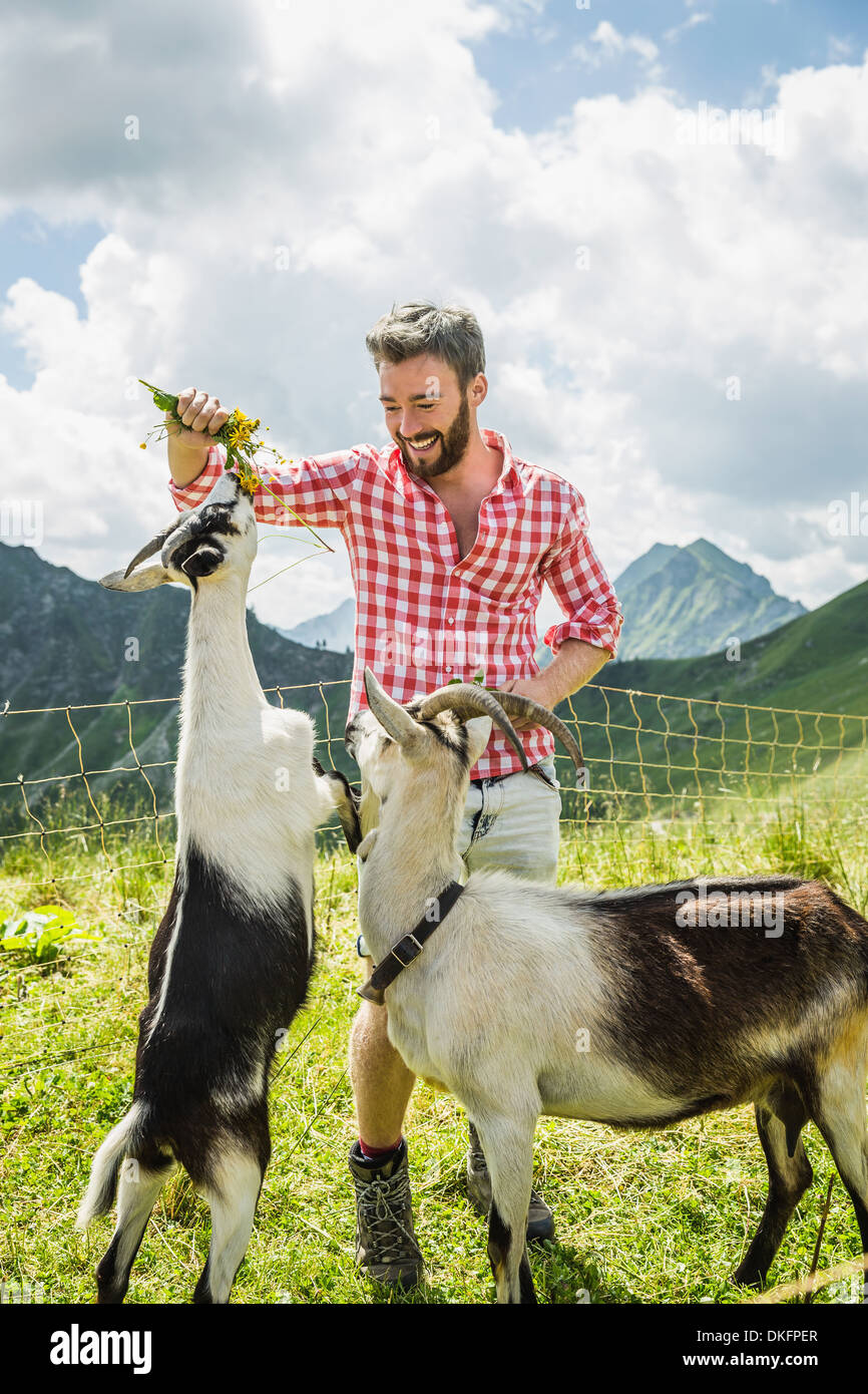 Goat legs standing hi-res stock photography and images - Alamy