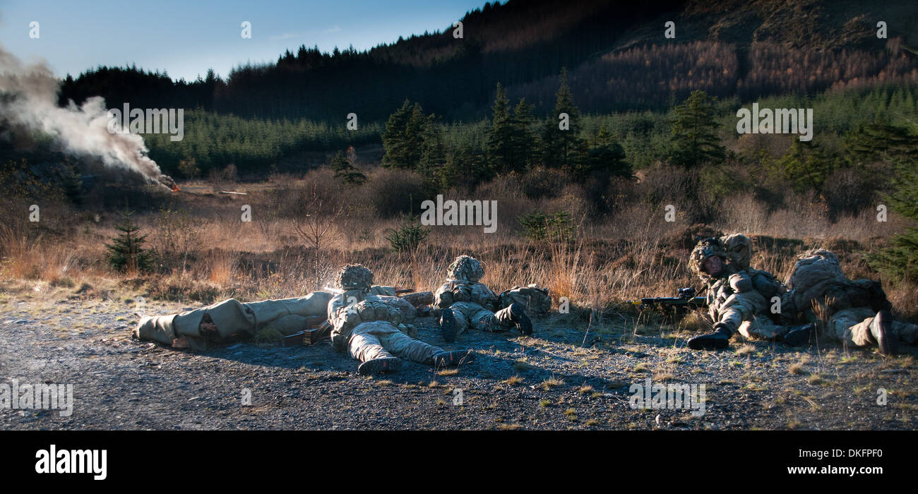 Soldiers from 3 Rifles on exercise Stock Photo - Alamy