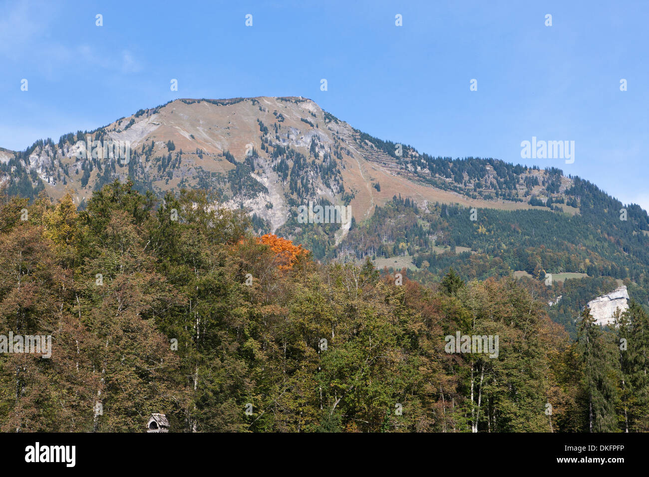 Bernese in switzerland hi-res stock photography and images - Alamy
