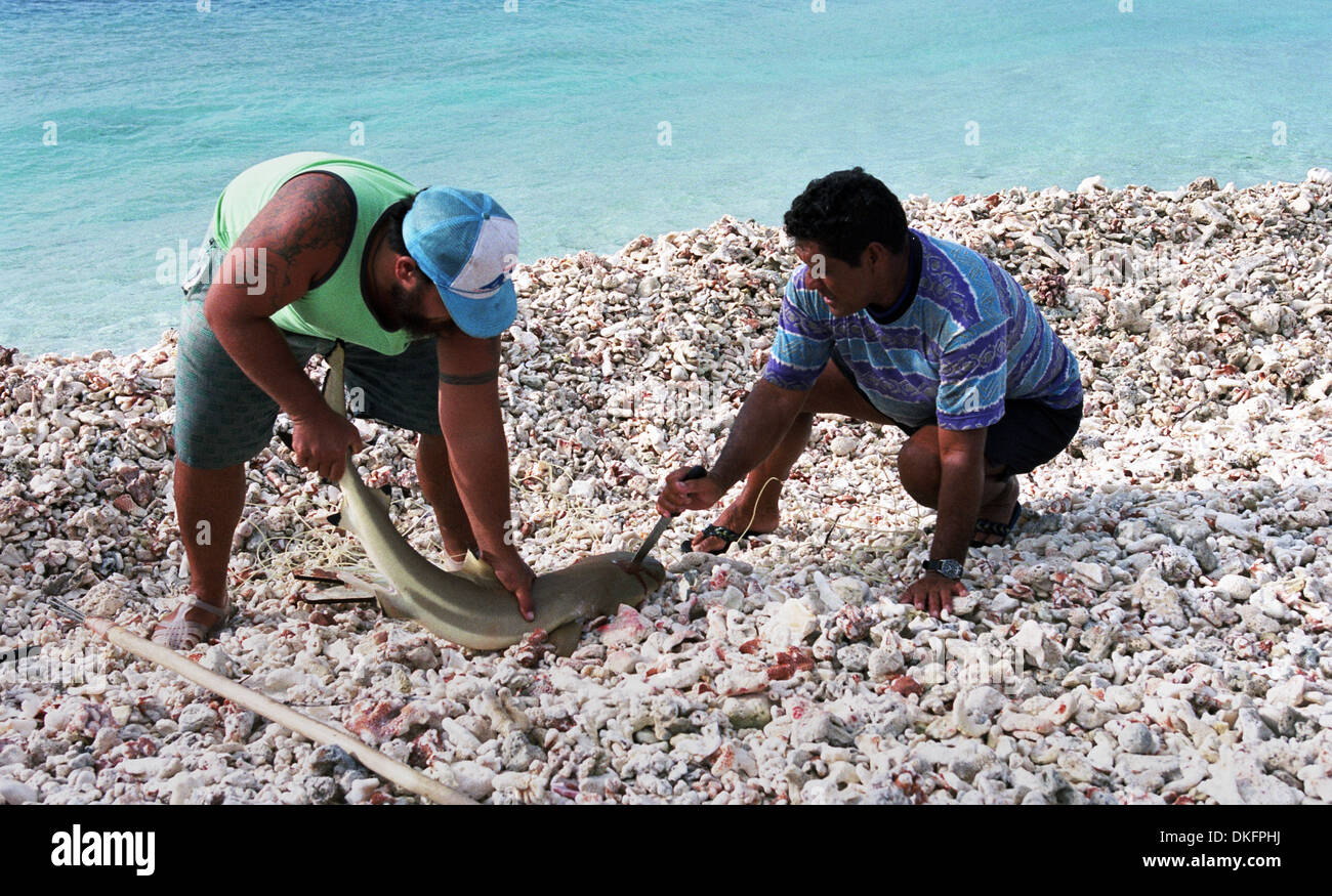 Two polynesian fishing shark. Raroia. Polynesia Stock Photo - Alamy