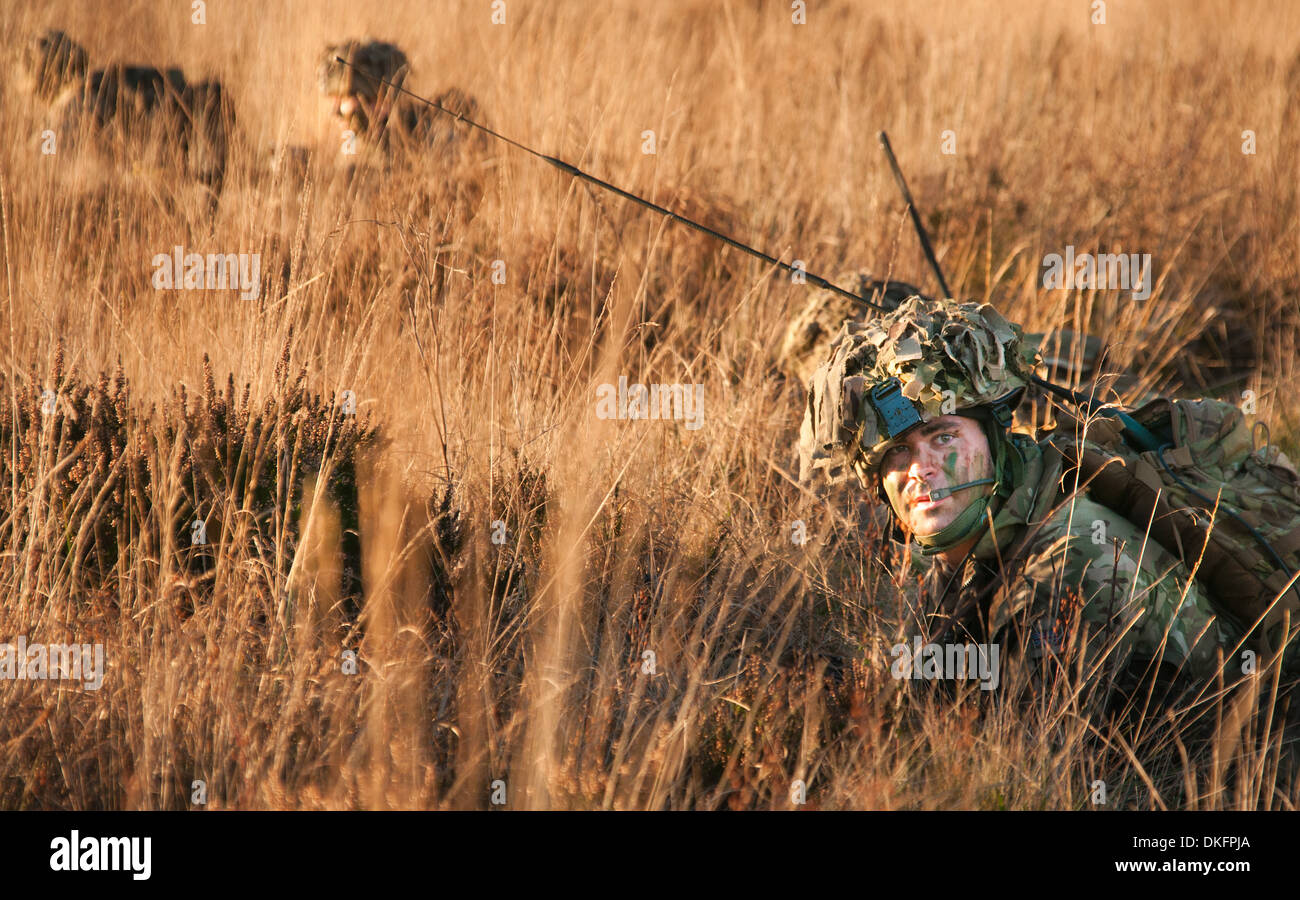 Soldiers from 3 Rifles on exercise Stock Photo - Alamy