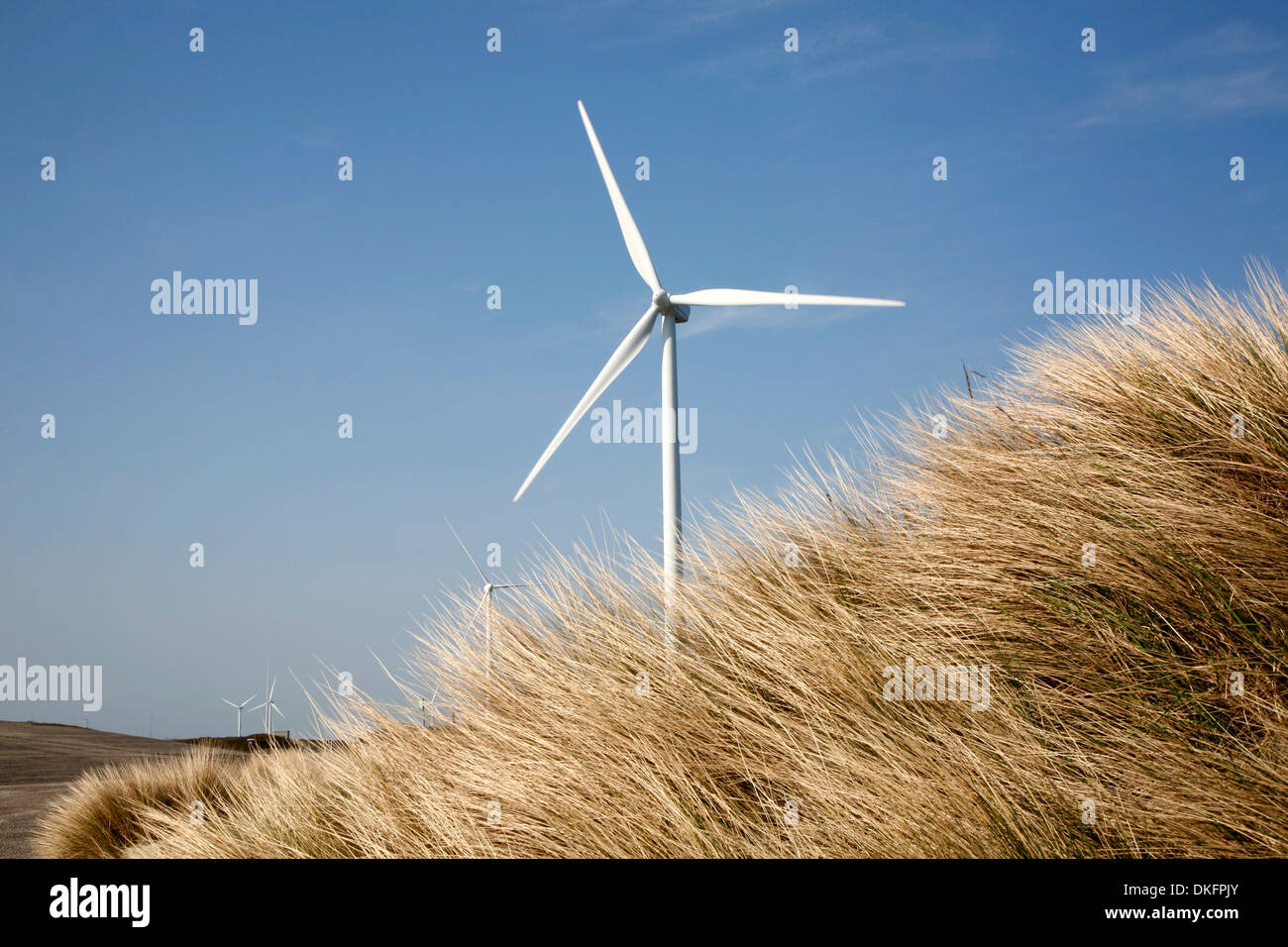 Wind engines in dunes, Vrouwenpolder, Walcheren, Zeeland, The ...