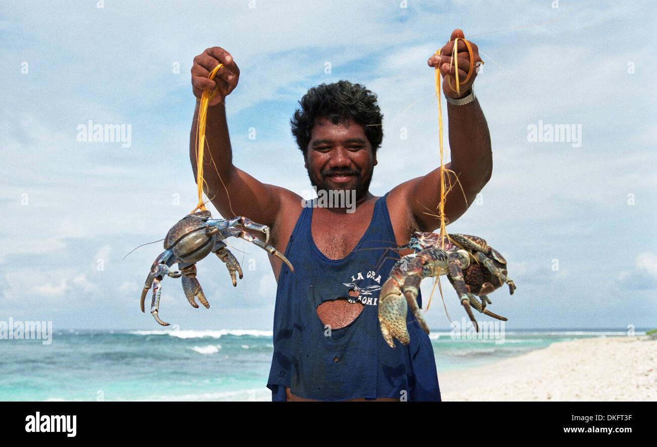 Coconut crab’s hi-res stock photography and images - Alamy