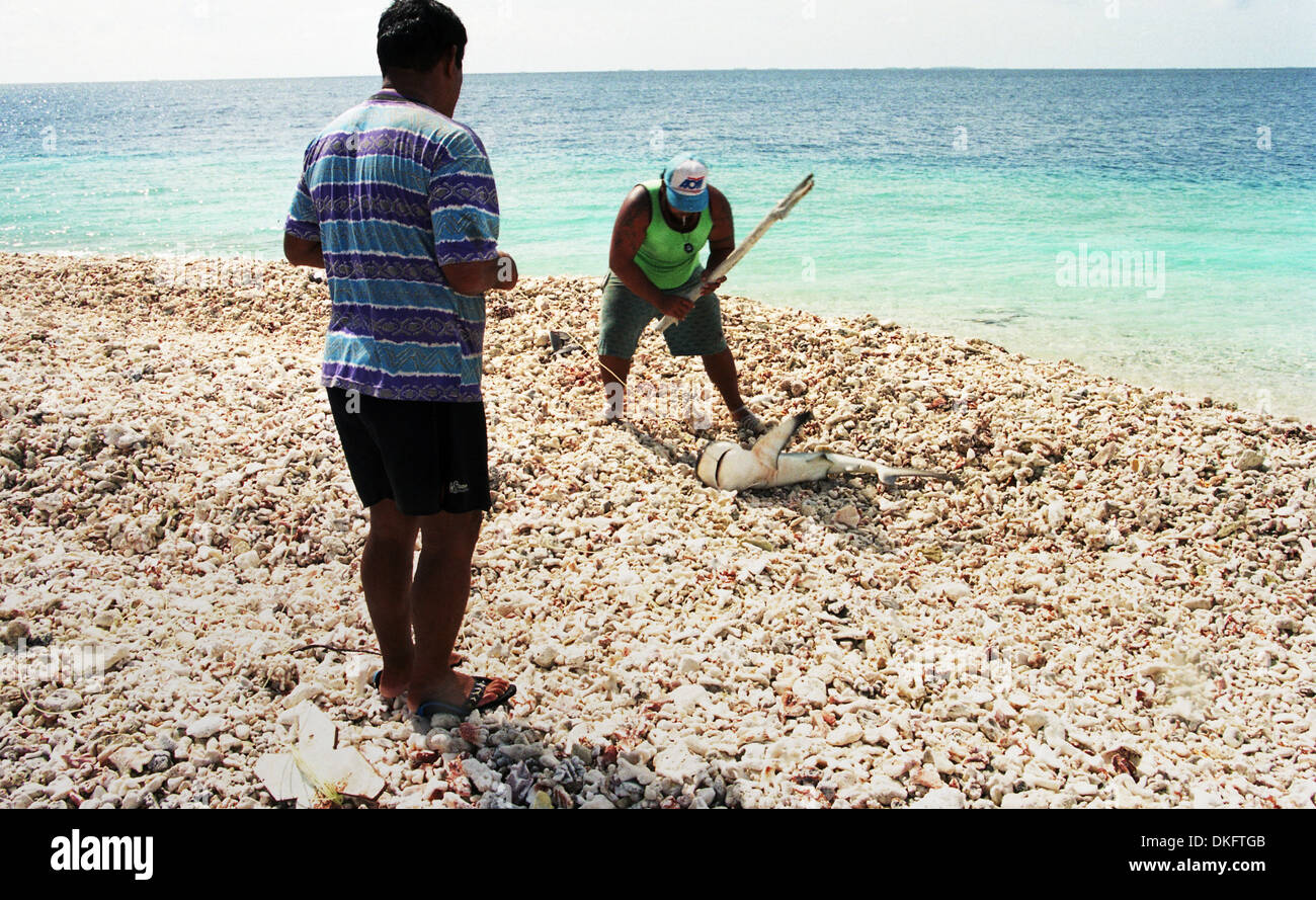 Two polynesian fishing shark. Raroia. Polynesia Stock Photo - Alamy