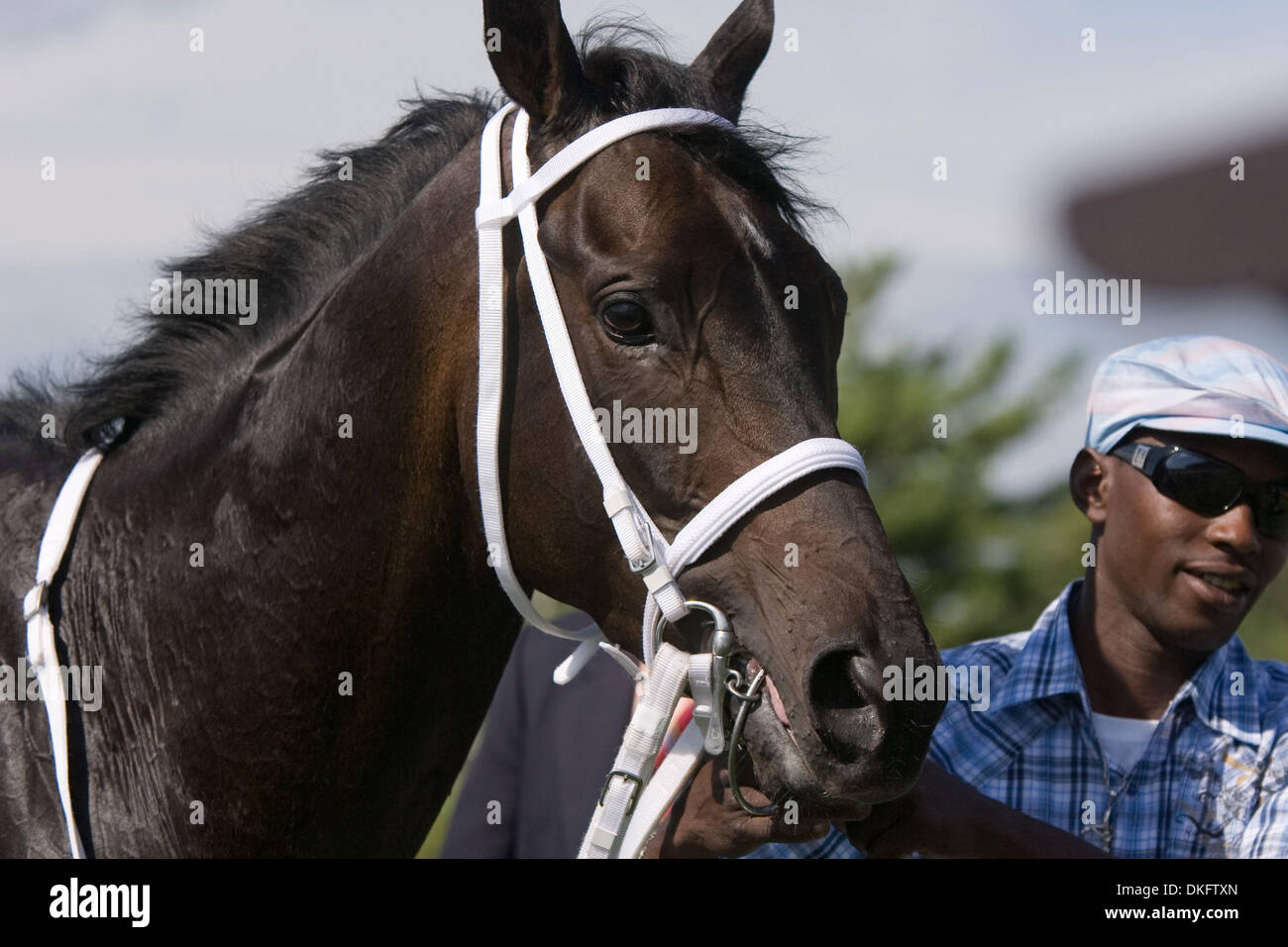 Frank gerry hi-res stock photography and images - Alamy