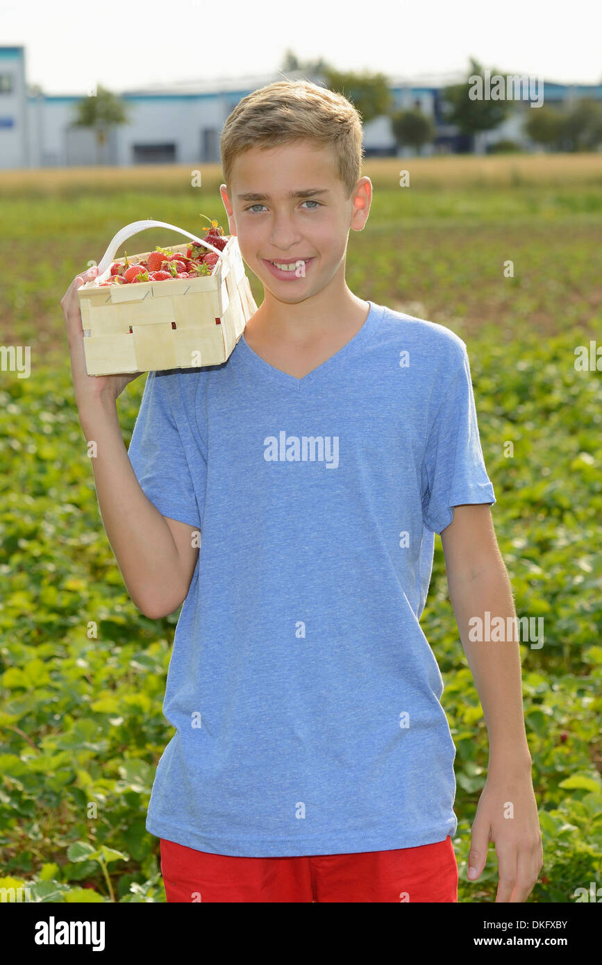 Teenage boy holding basket with strawberries Stock Photo - Alamy