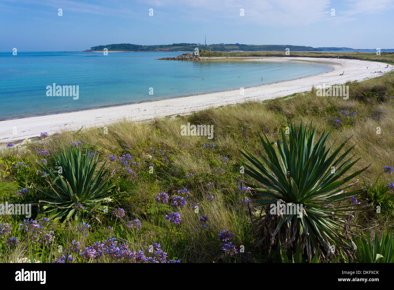 Tresco island hi-res stock photography and images - Alamy