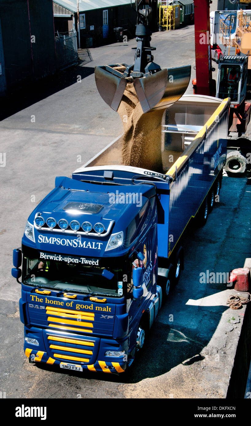 Unloading barley for the UK's largest malter Simpsons Malt of Berwick ...