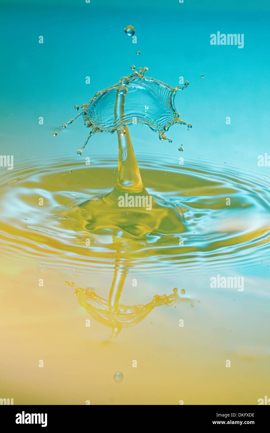 High speed photography capturing the collision between two drops of ...