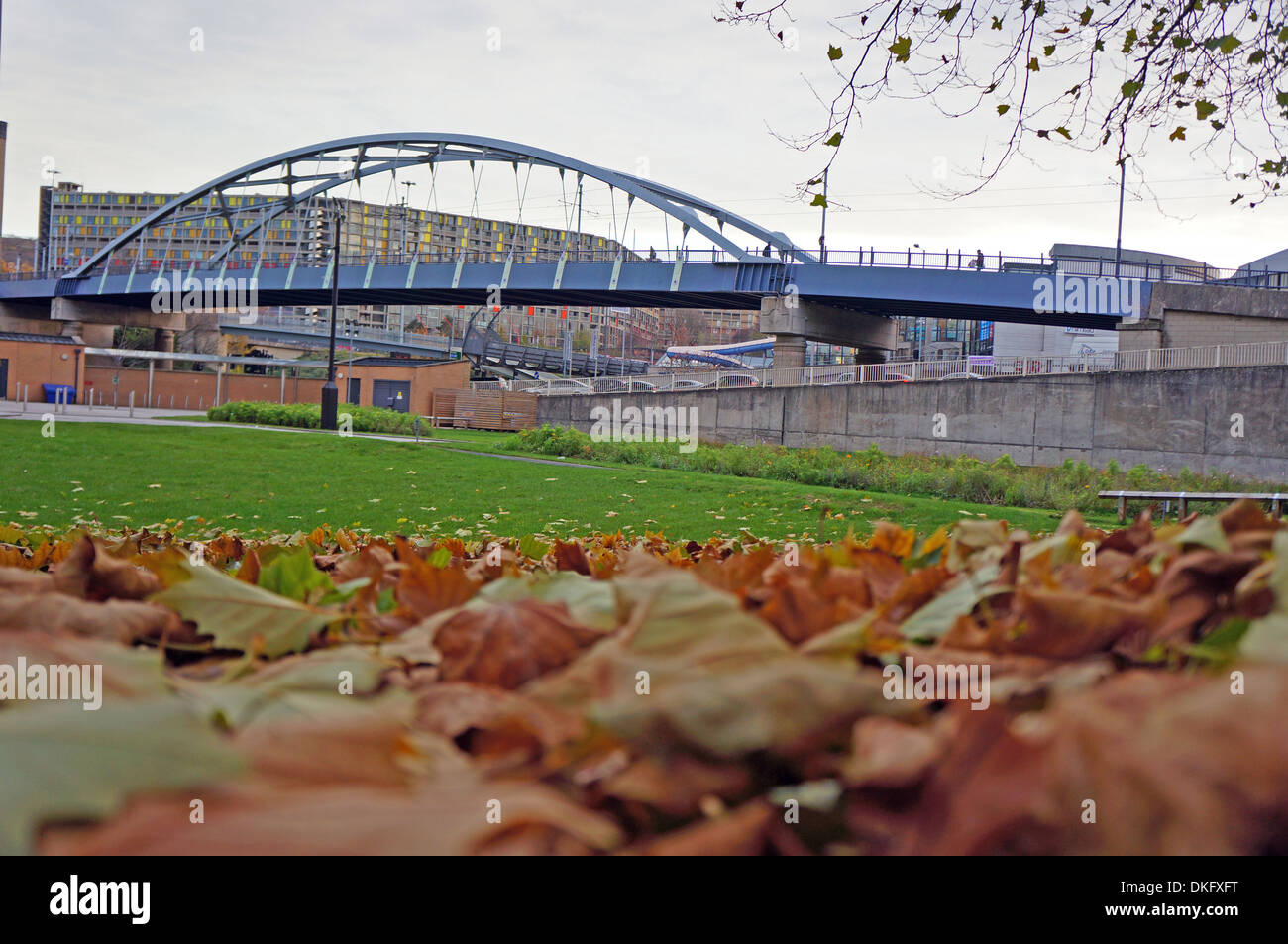 Sheffield Tram Bridge High Resolution Stock Photography and Images - Alamy
