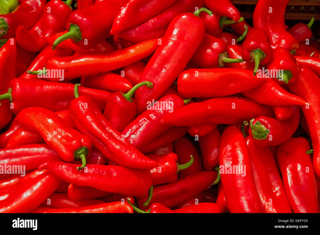 red hot chilli peppers Stock Photo - Alamy