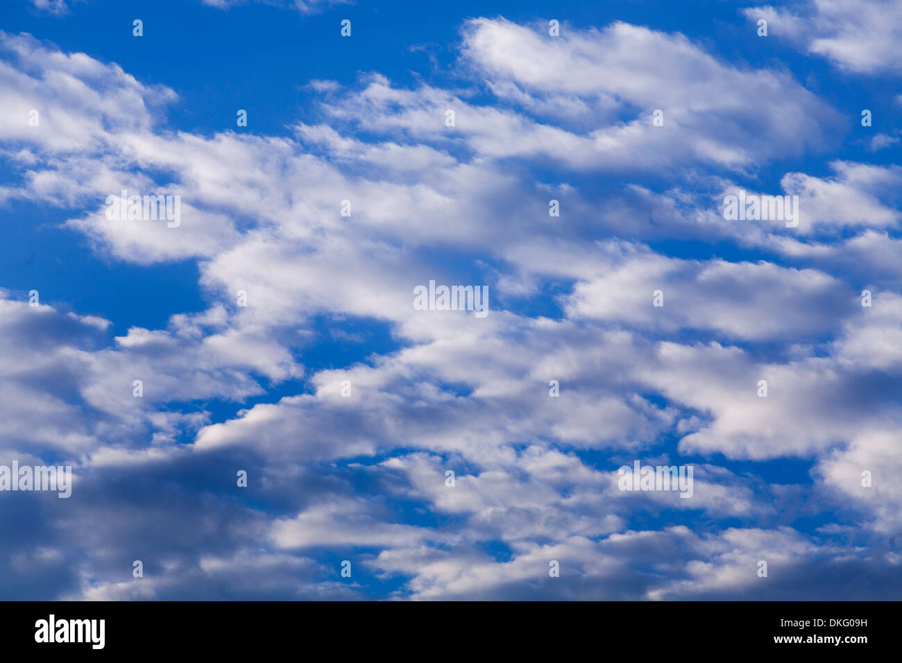 blue sky with cloud closeup Stock Photo - Alamy