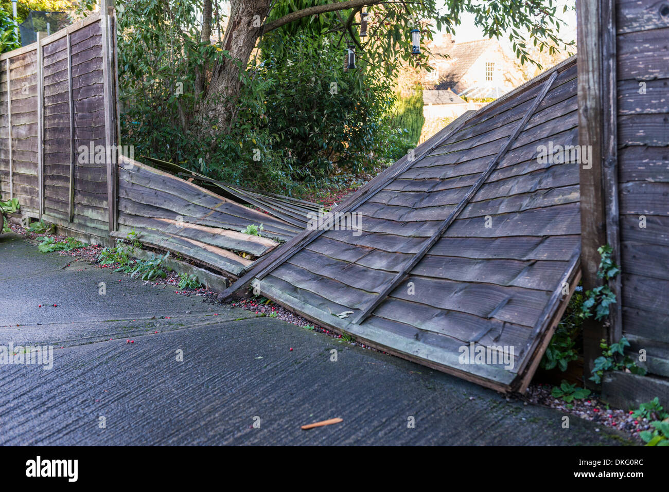 Storm force winds have blown down a wooden garden fence in Northern ...