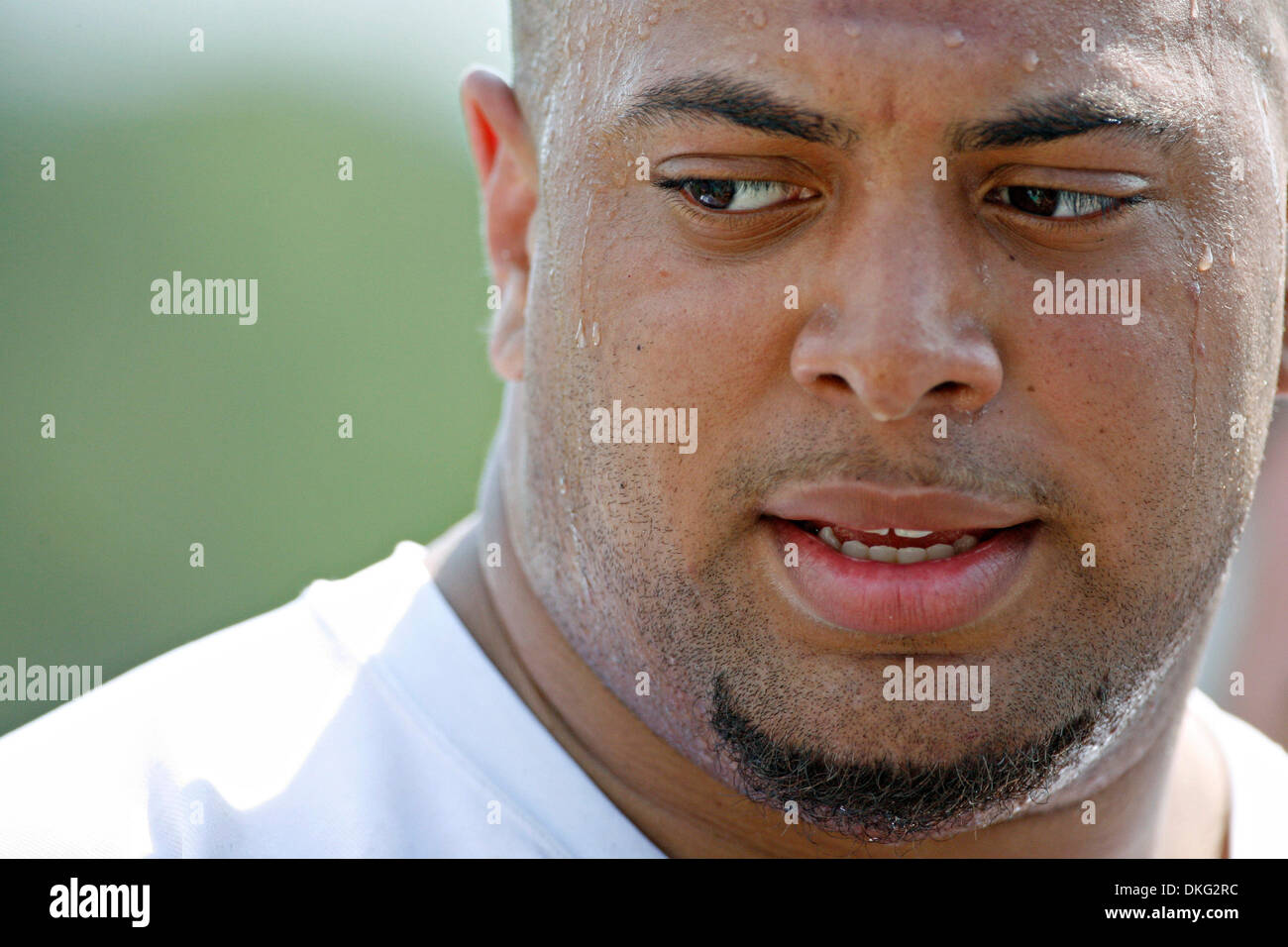 Tp 01 hi-res stock photography and images - Alamy